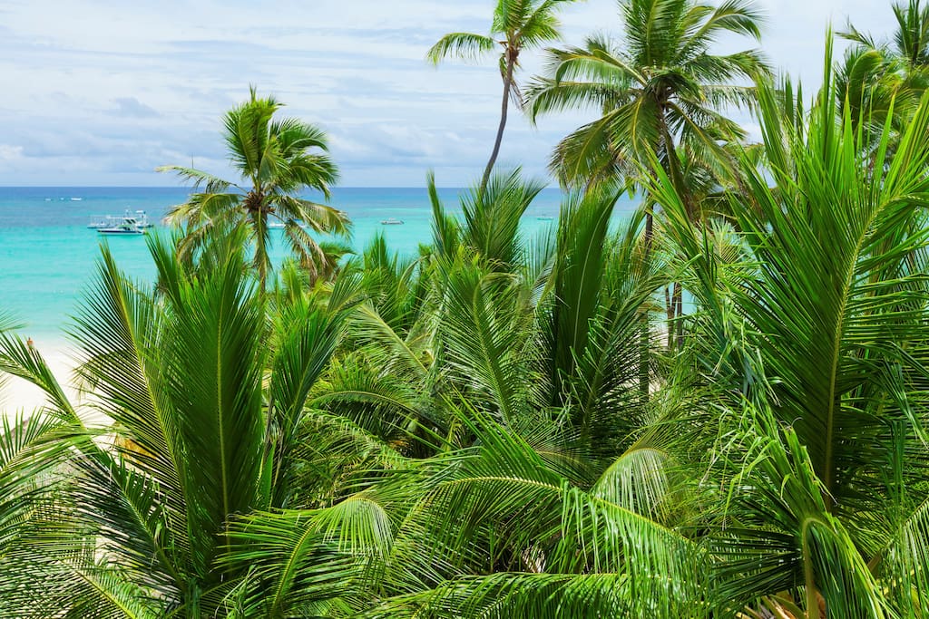 Flor del Mar - Apartment in the Center of Los Corales Beach, Bavaro ...