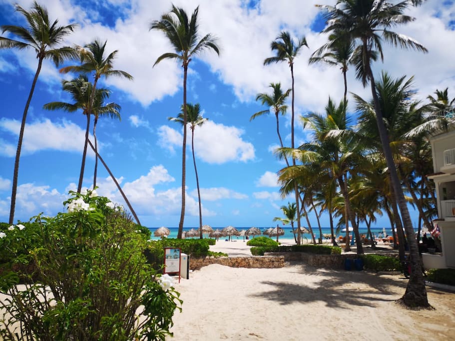 Flor del Mar - Apartment in the Center of Los Corales Beach, Bavaro ...