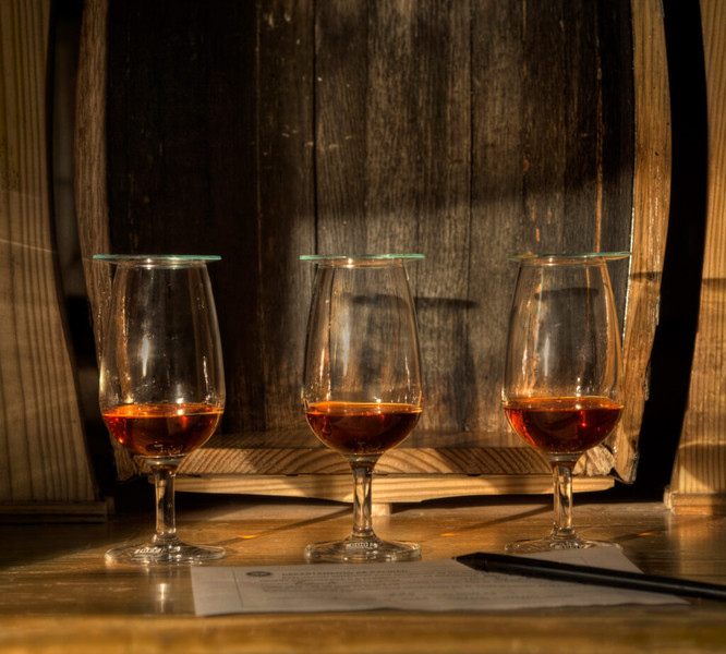 Cigars & Rum Factory Tour Punta Cana - Ron Barceló & VegaFina