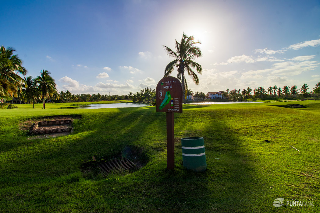 Punta Cana Golf Guide 2025 - Prices, Top Courses, Golf Villas