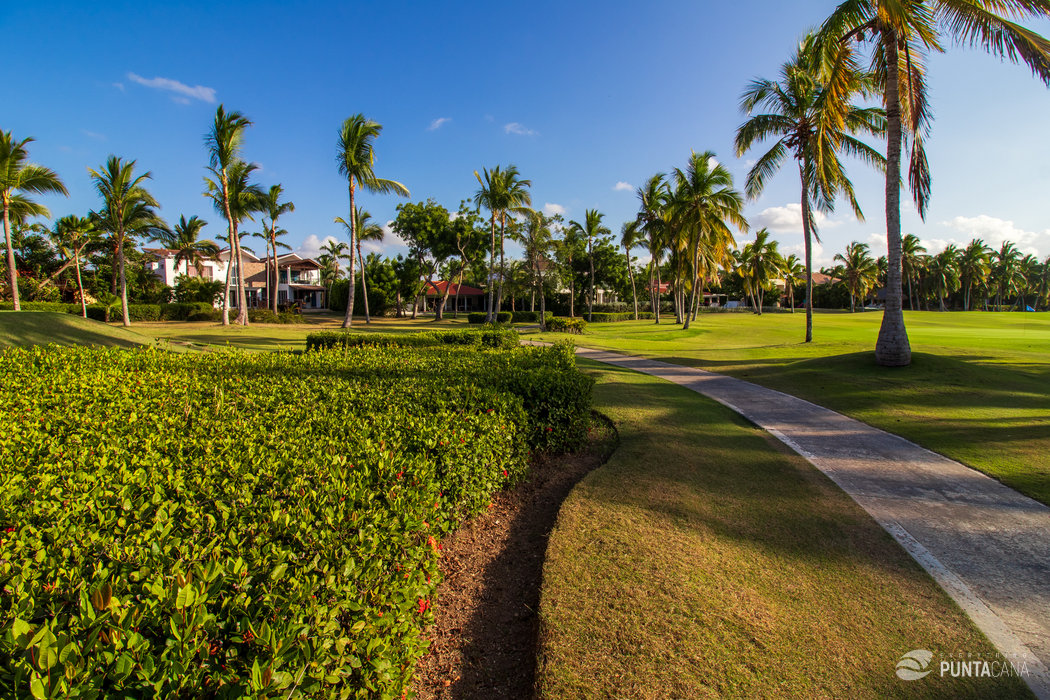 Punta Cana Golf Guide 2025 - Prices, Top Courses, Golf Villas