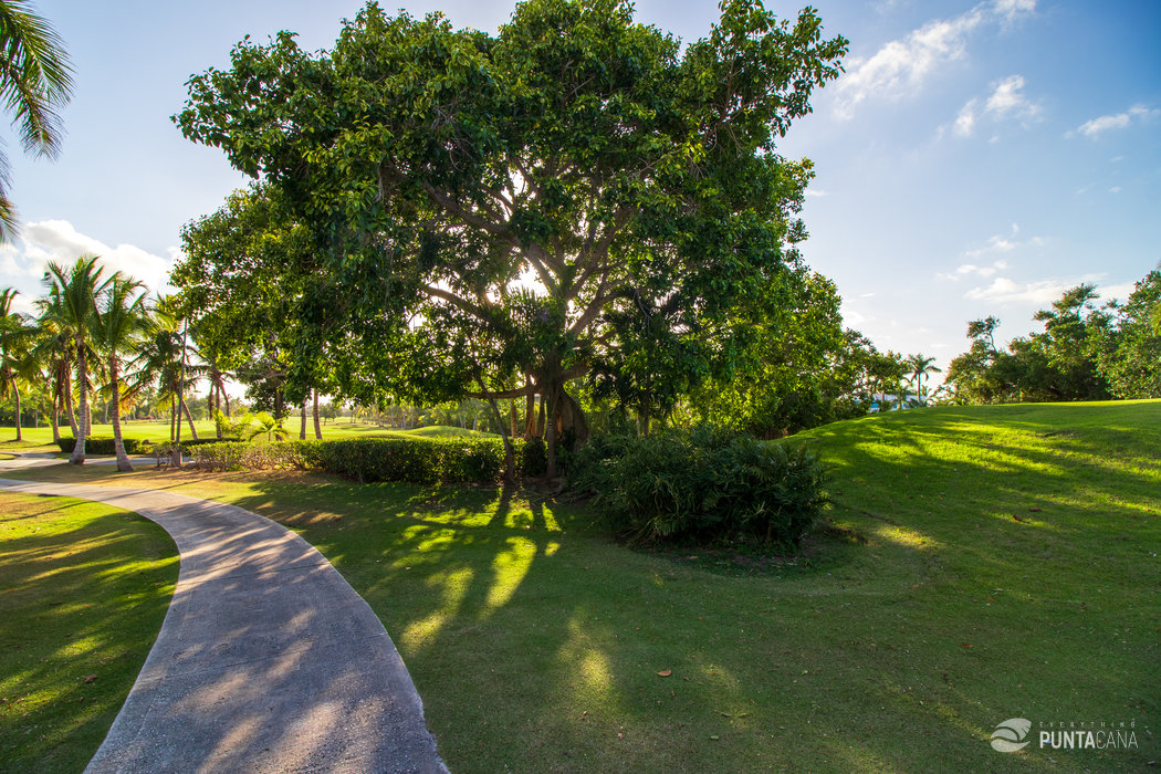 Punta Cana Golf Guide 2025 - Prices, Top Courses, Golf Villas