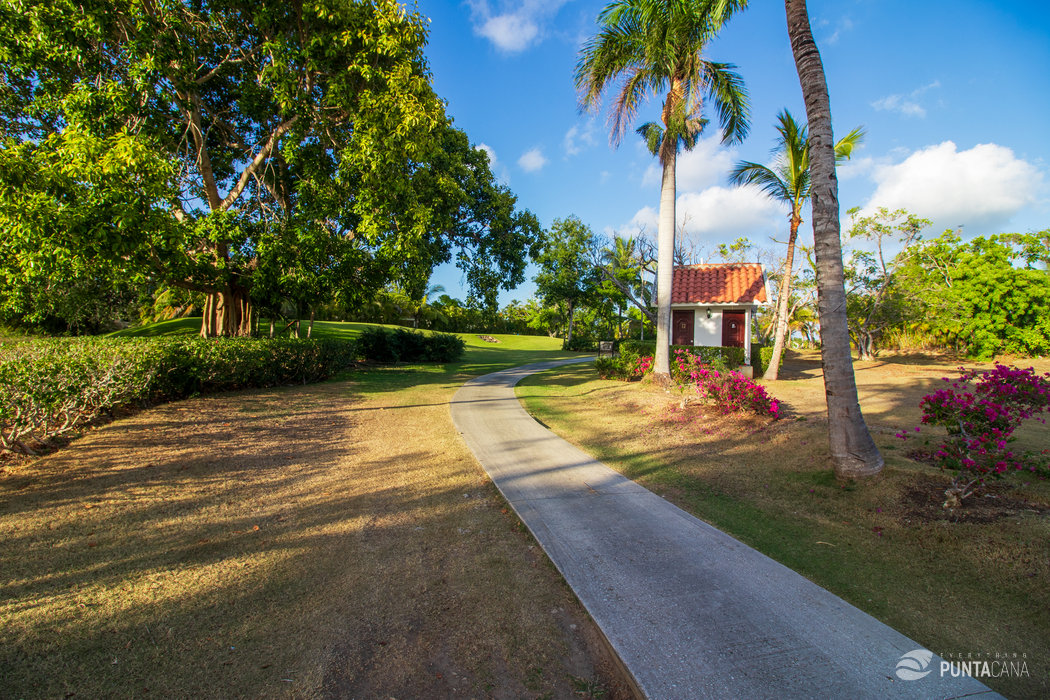 Punta Cana Golf Guide 2025 - Prices, Top Courses, Golf Villas