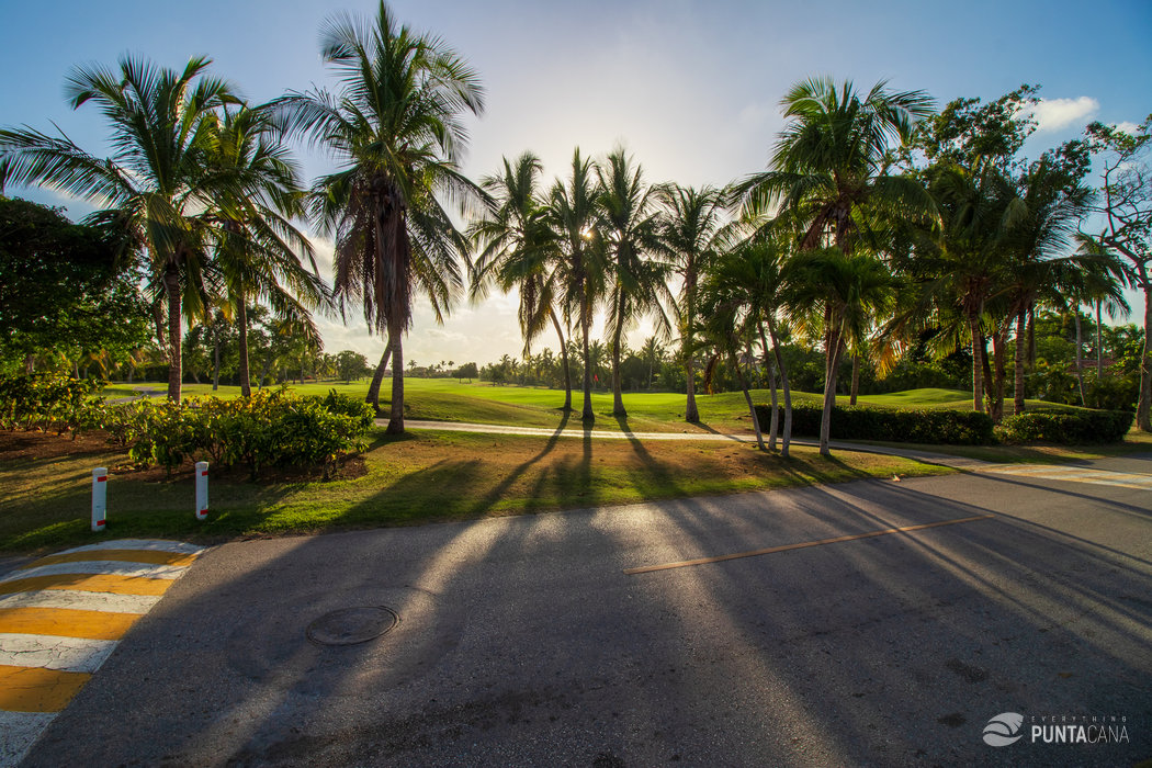 Punta Cana Golf Guide 2025 - Prices, Top Courses, Golf Villas