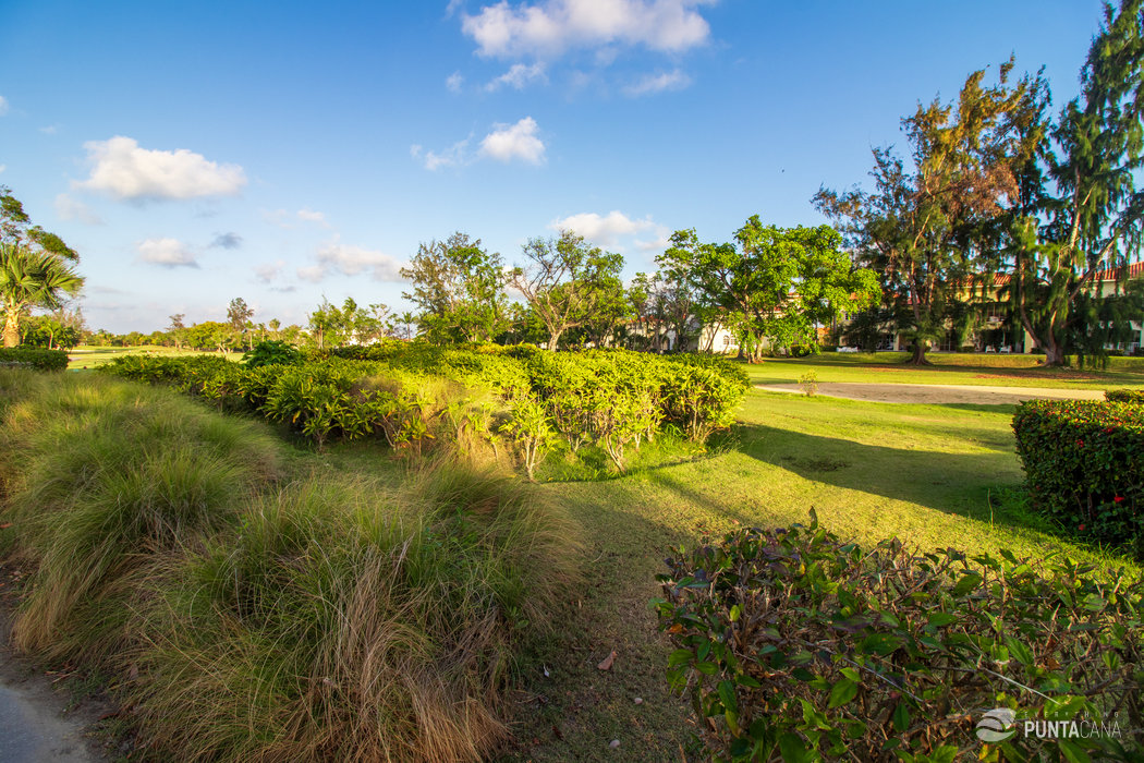 Punta Cana Golf Guide 2025 - Prices, Top Courses, Golf Villas