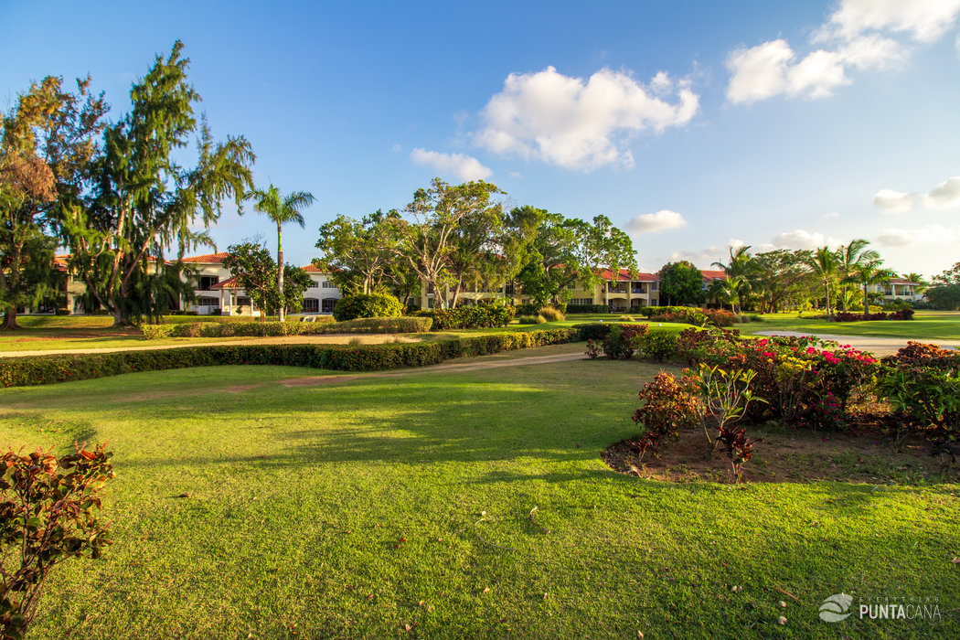 Punta Cana Golf Guide 2025 - Prices, Top Courses, Golf Villas