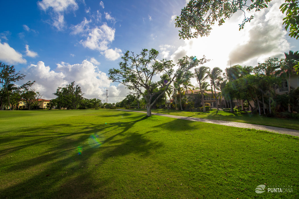 Punta Cana Golf Guide 2025 - Prices, Top Courses, Golf Villas