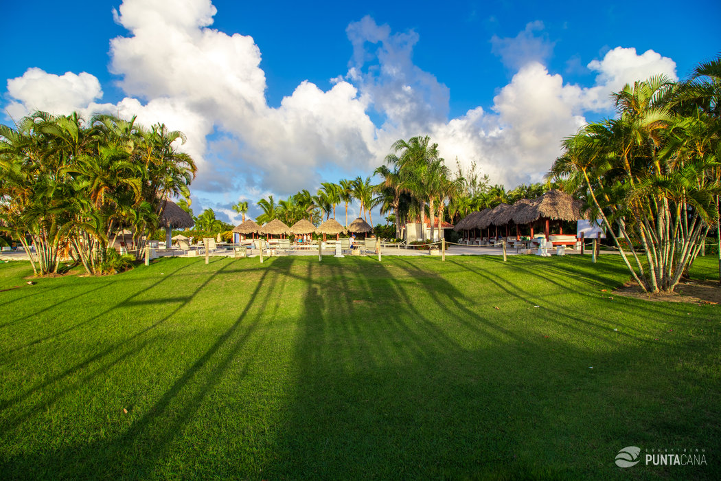 Punta Cana Golf Guide 2025 - Prices, Top Courses, Golf Villas