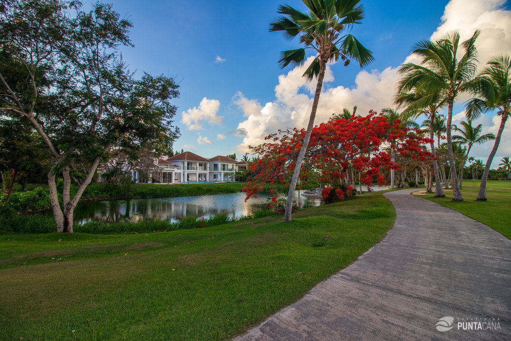 Punta Cana Golf Guide 2025 - Prices, Top Courses, Golf Villas