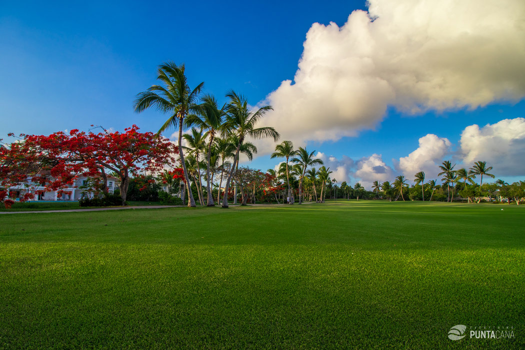 Punta Cana Golf Guide 2025 - Prices, Top Courses, Golf Villas