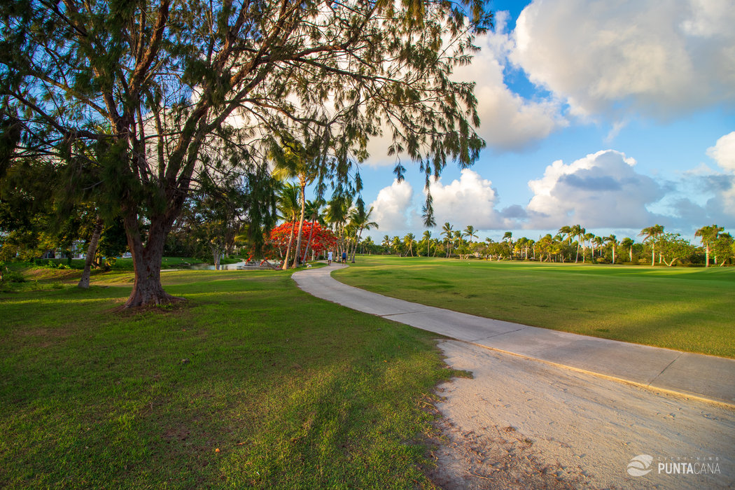 Punta Cana Golf Guide 2025 - Prices, Top Courses, Golf Villas