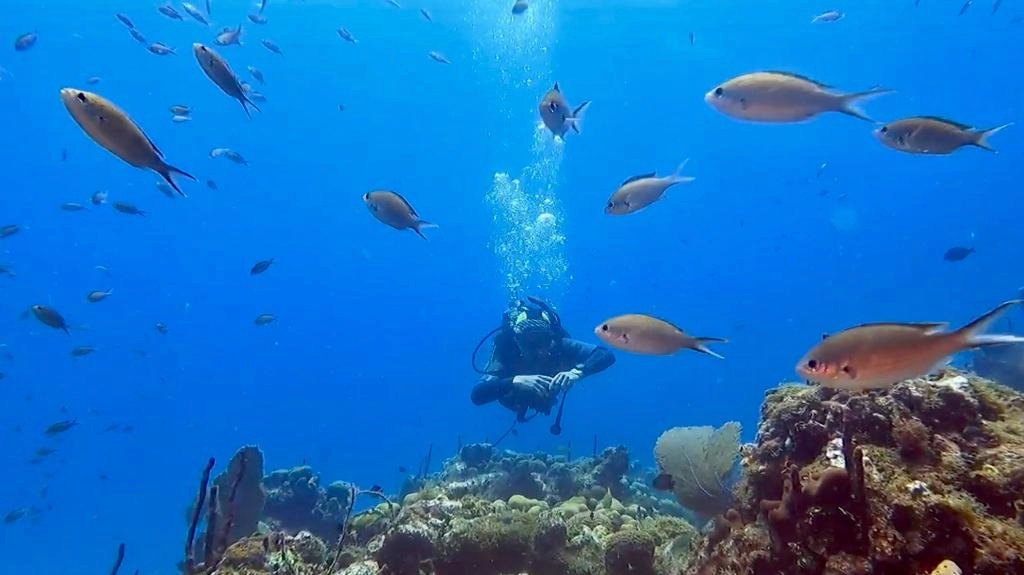 Scuba Diving Tour from Punta Cana – Catalina Island Dive & Snorkeling Trip