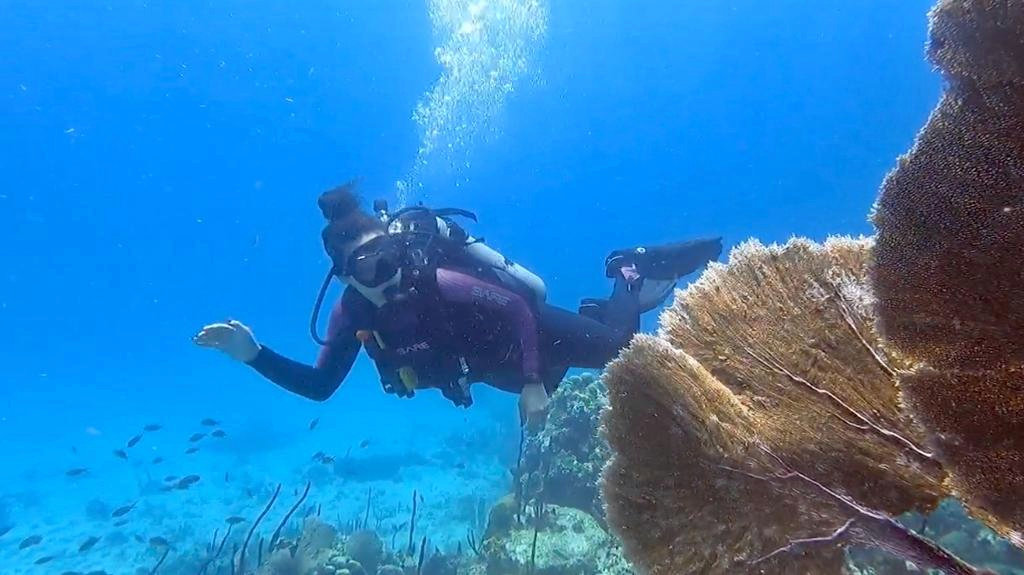 Scuba Diving Tour from Punta Cana – Catalina Island Dive & Snorkeling Trip