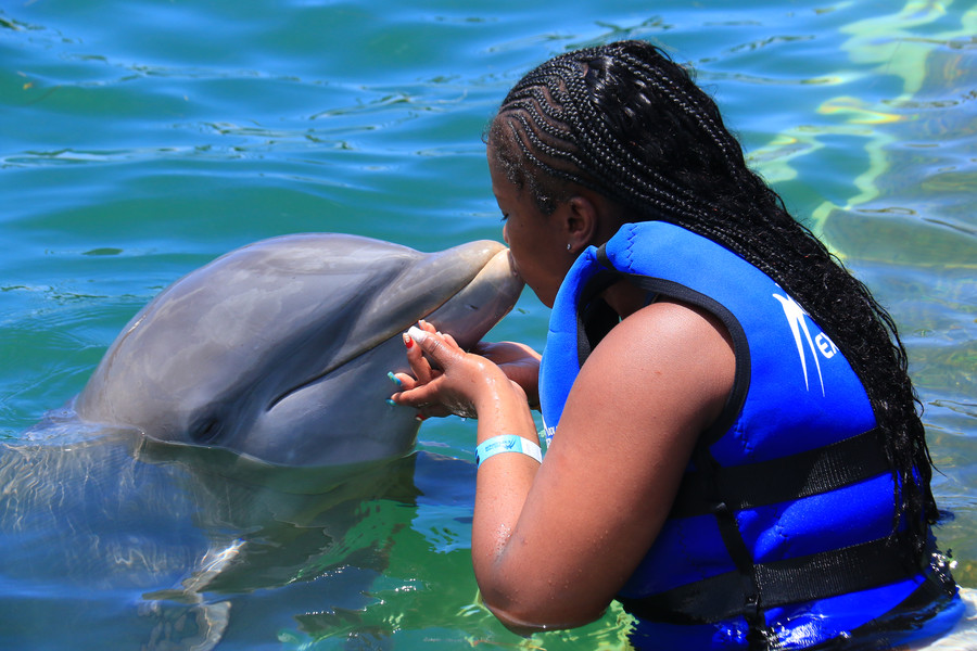 Swimming with Dolphins in Punta Cana - Top Adventure (50 minutes)