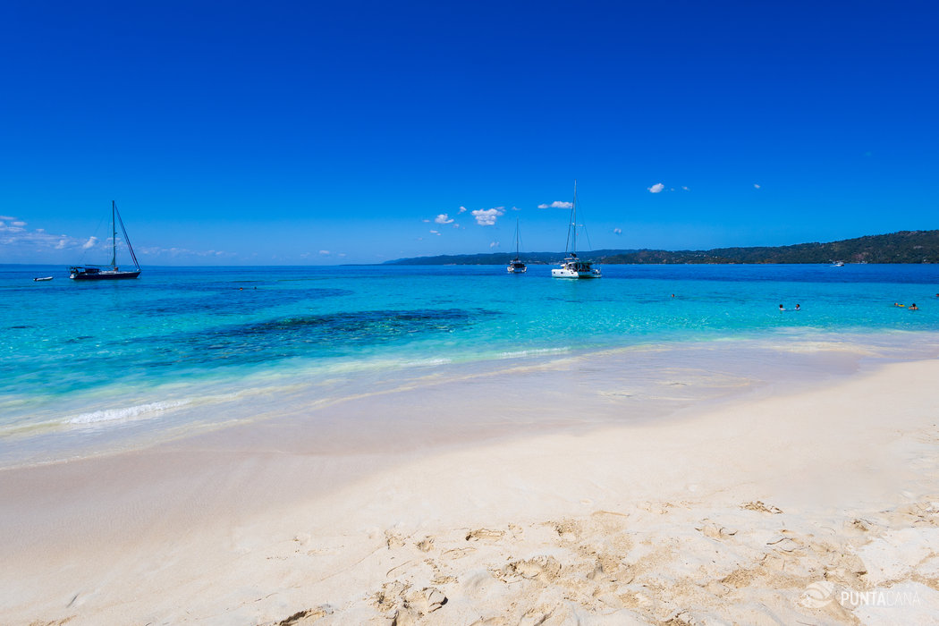 Samaná Whale Watching Tour 2025 - Full Day, Top Price, Best Guide