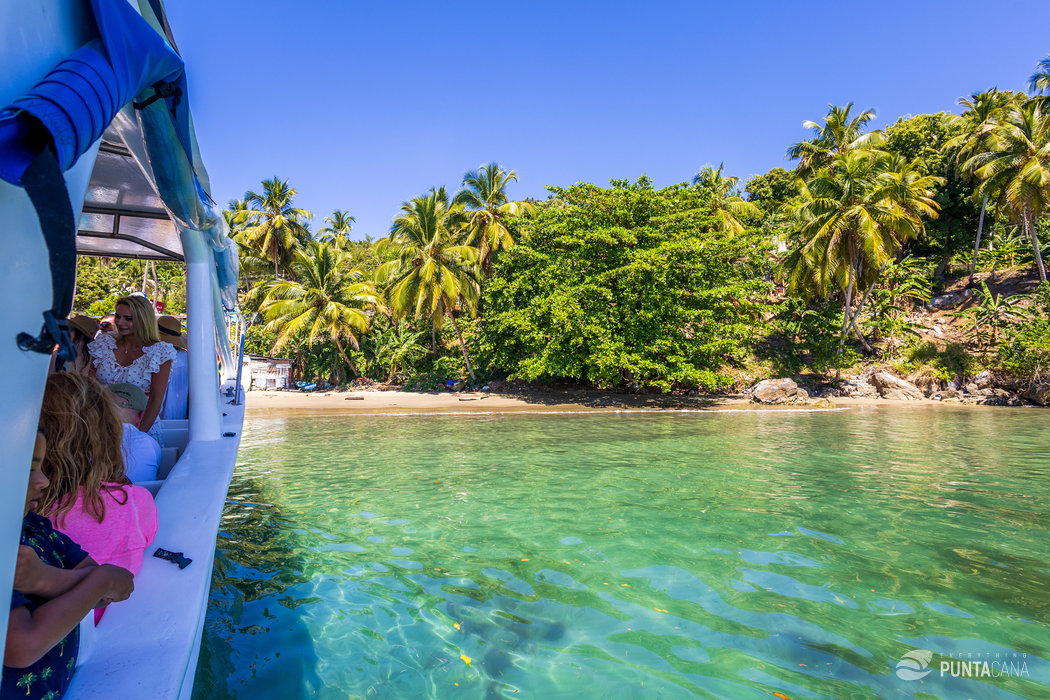 Samaná Whale Watching Tour 2026 - Full Day, Top Price, Best Guide