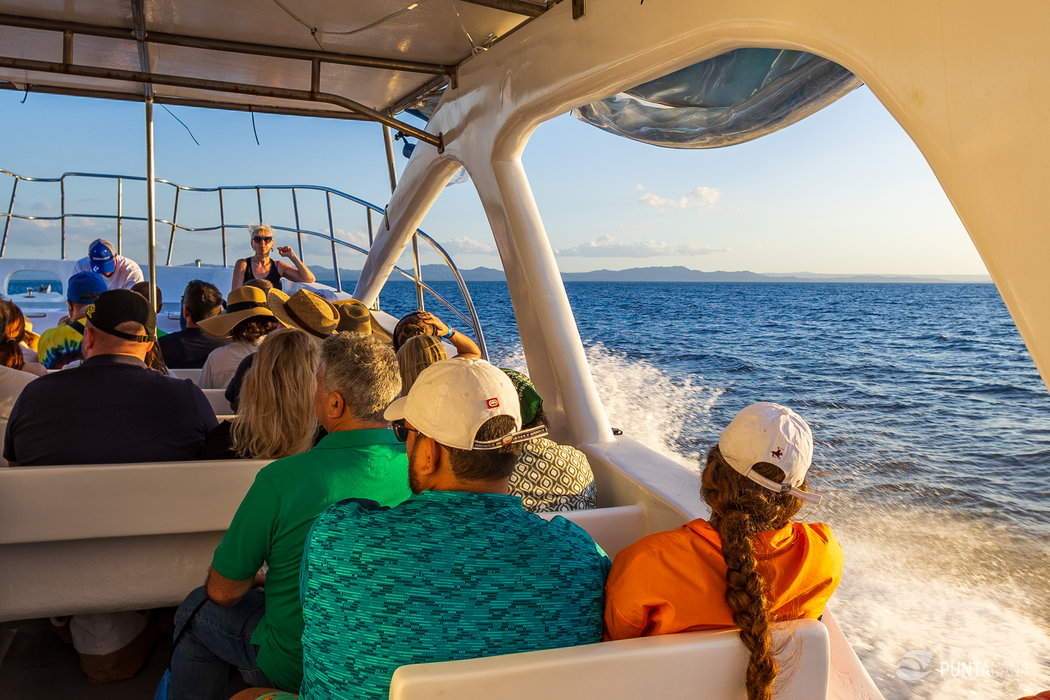 Samaná Whale Watching Tour 2026 - Full Day, Top Price, Best Guide