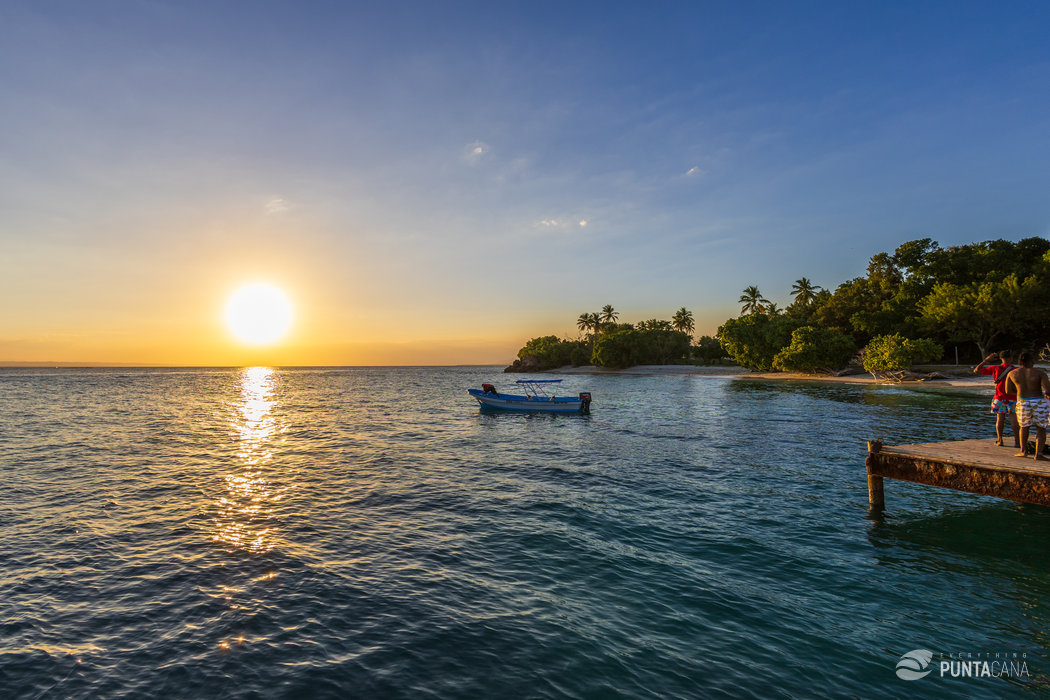 Samaná Whale Watching Tour 2026 - Full Day, Top Price, Best Guide