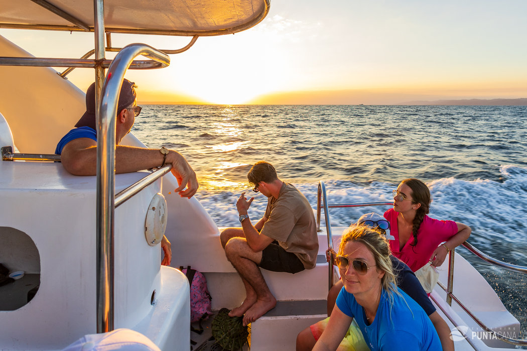 Samaná Whale Watching Tour 2026 - Full Day, Top Price, Best Guide