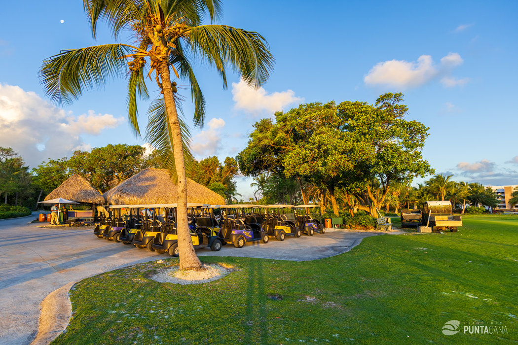 Top Punta Cana Golf Courses 2026 - Book Your Tee Time Online