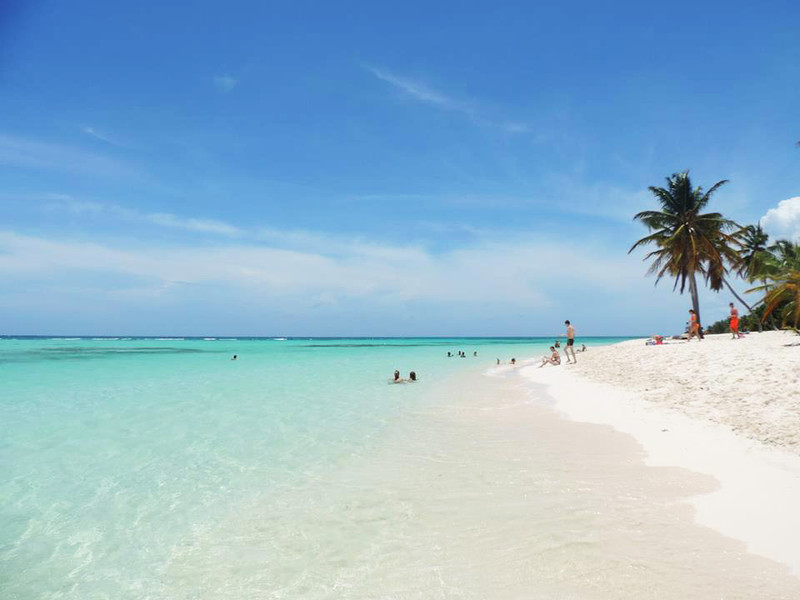 Isla Saona Boat Tour - Toro and Palmilla Beach & Natural Pool