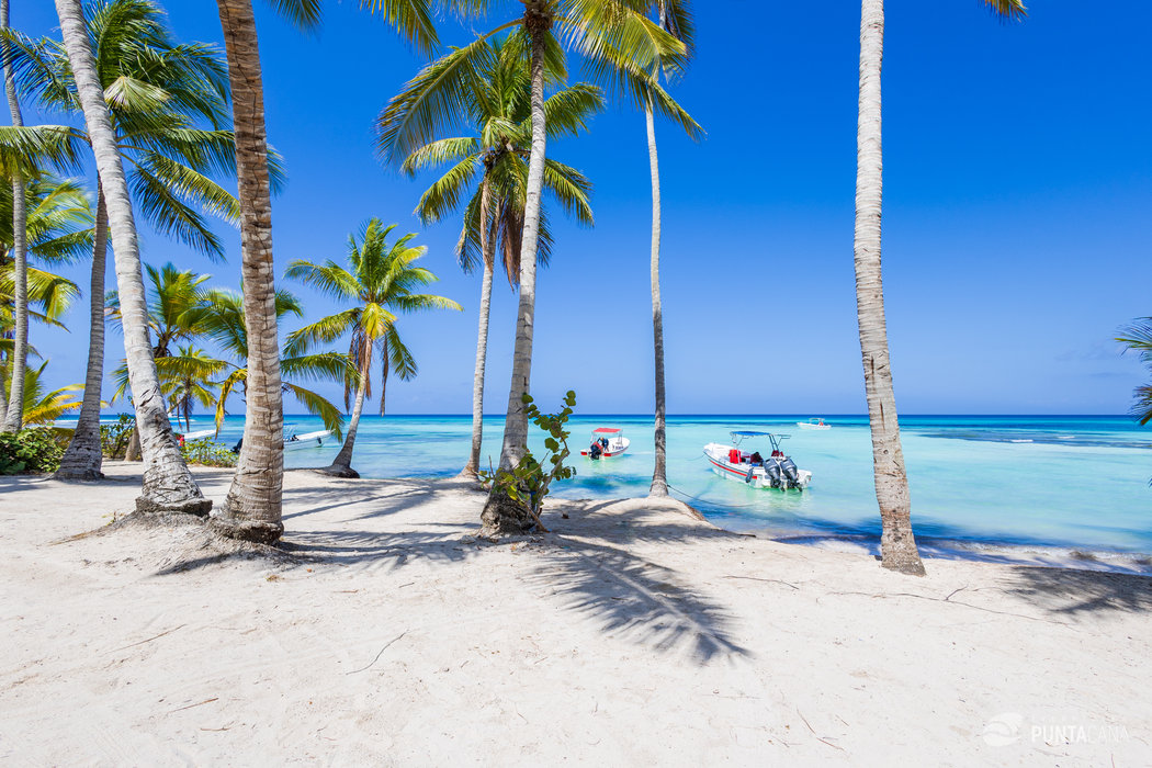 Rent a Yacht in Punta Cana - Private Trips to Saona, Catalina, Palmilla