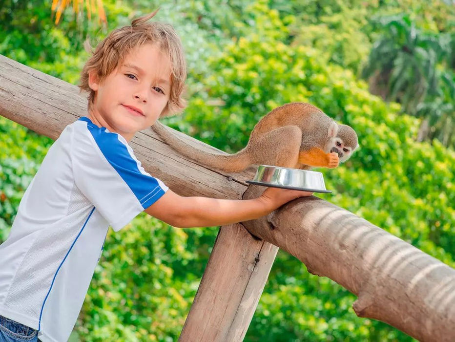 Best Monkey Excursion from Punta Cana: Monkeyland + Longest ZipLine