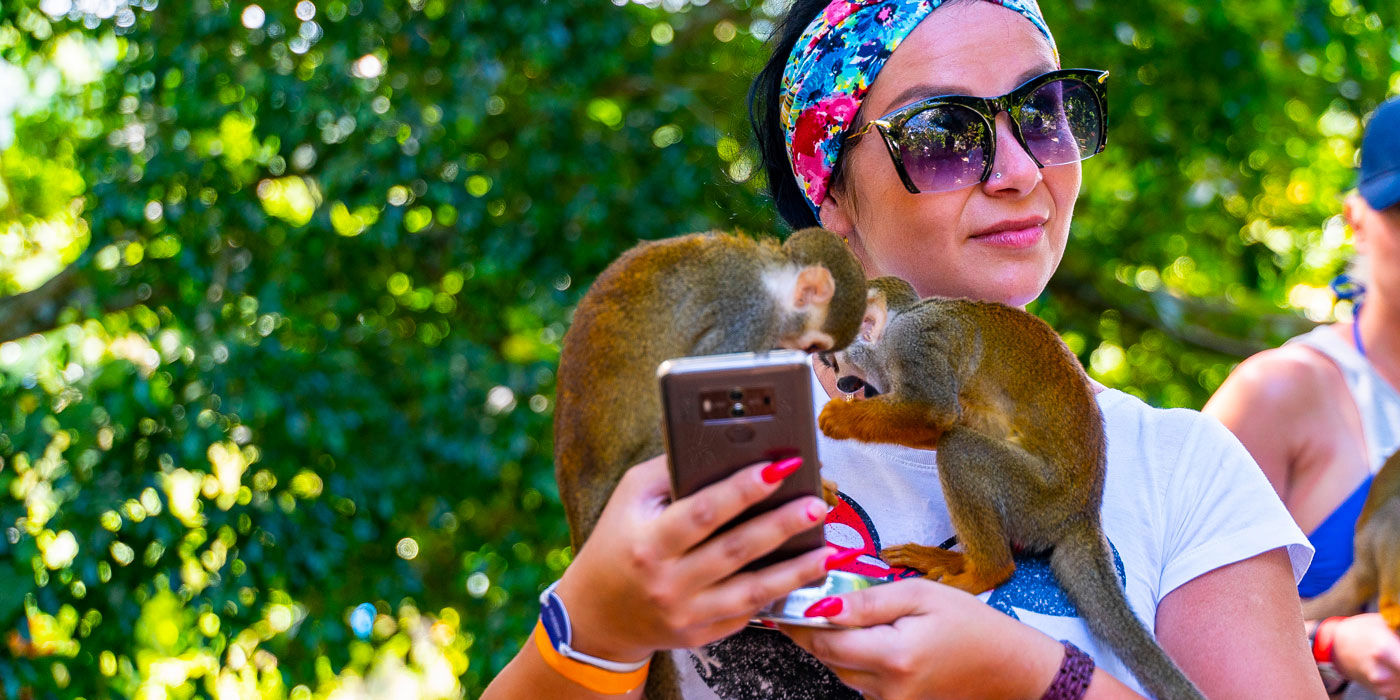 Best Monkey Excursion from Punta Cana: Monkeyland + Longest ZipLine