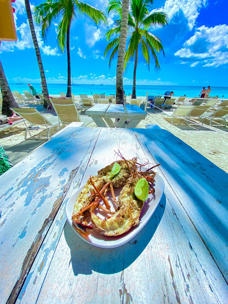 Private Isla Saona Tour 2026 - Full-Day VIP Excursion + Snorkeling