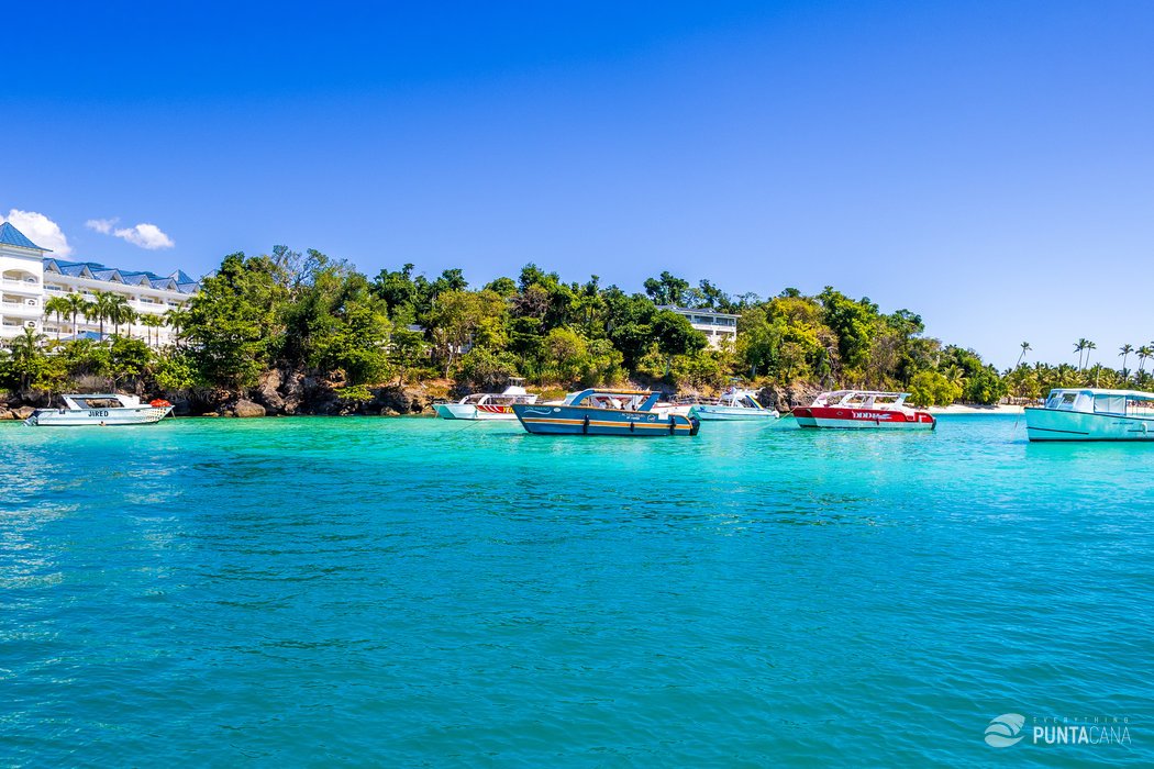 Private Samana Whale Watching Tour from Punta Cana, 2025