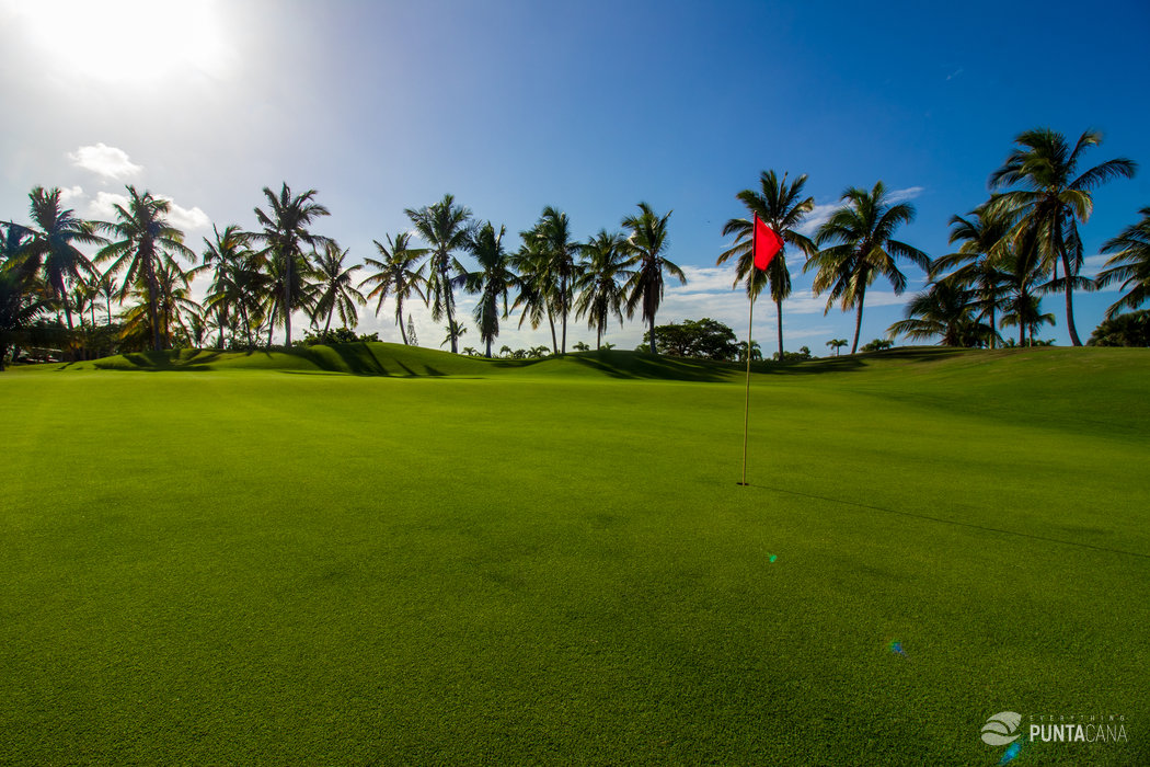 Top Punta Cana Golf Courses 2025 - Book Your Tee Time Online