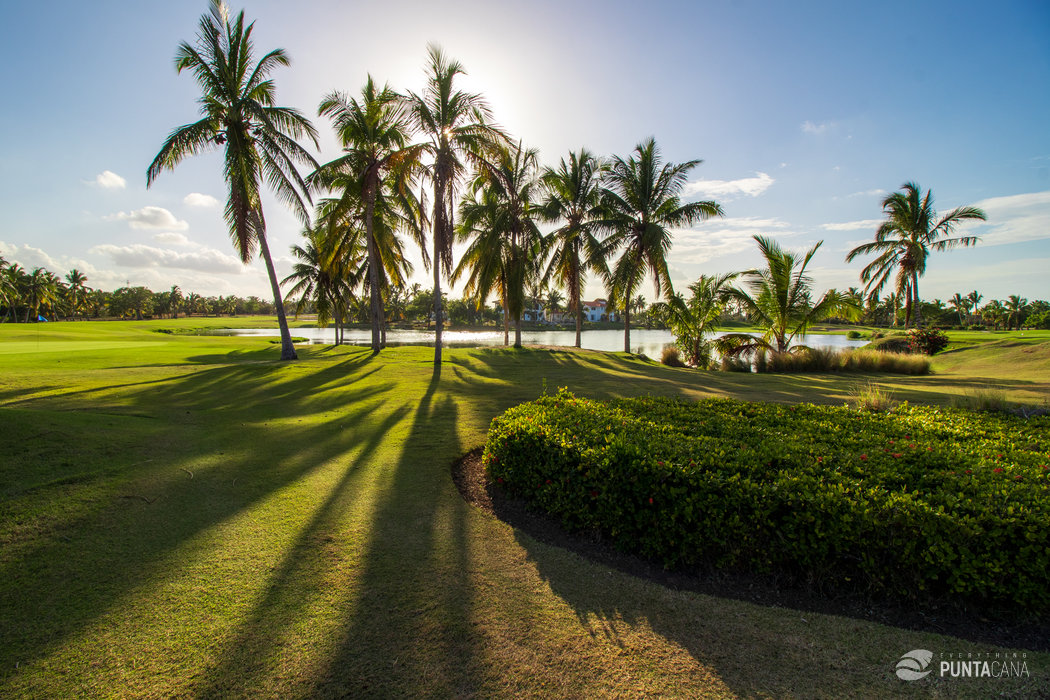 Top Punta Cana Golf Courses 2025 - Book Your Tee Time Online