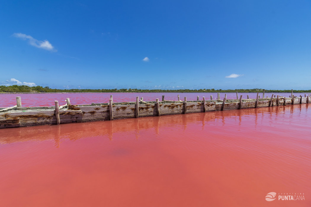 Las Salinas & Dunas de Baní tour - Pink Lakes & Dominican desert