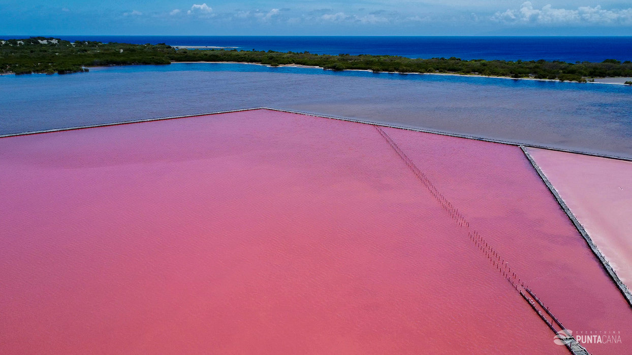 Las Salinas & Dunas de Baní tour - Pink Lakes & Dominican desert