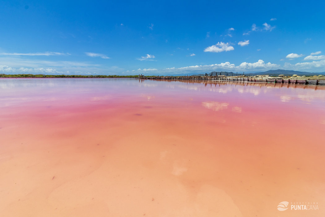 Las Salinas & Dunas de Baní tour - Pink Lakes & Dominican desert