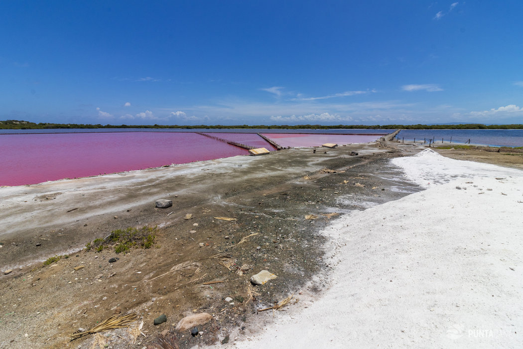 Las Salinas & Dunas de Baní tour - Pink Lakes & Dominican desert