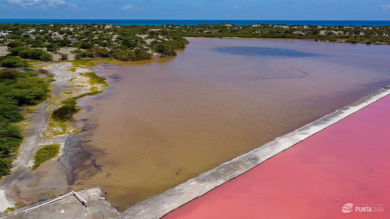 Las Salinas & Dunas de Baní tour - Pink Lakes & Dominican desert