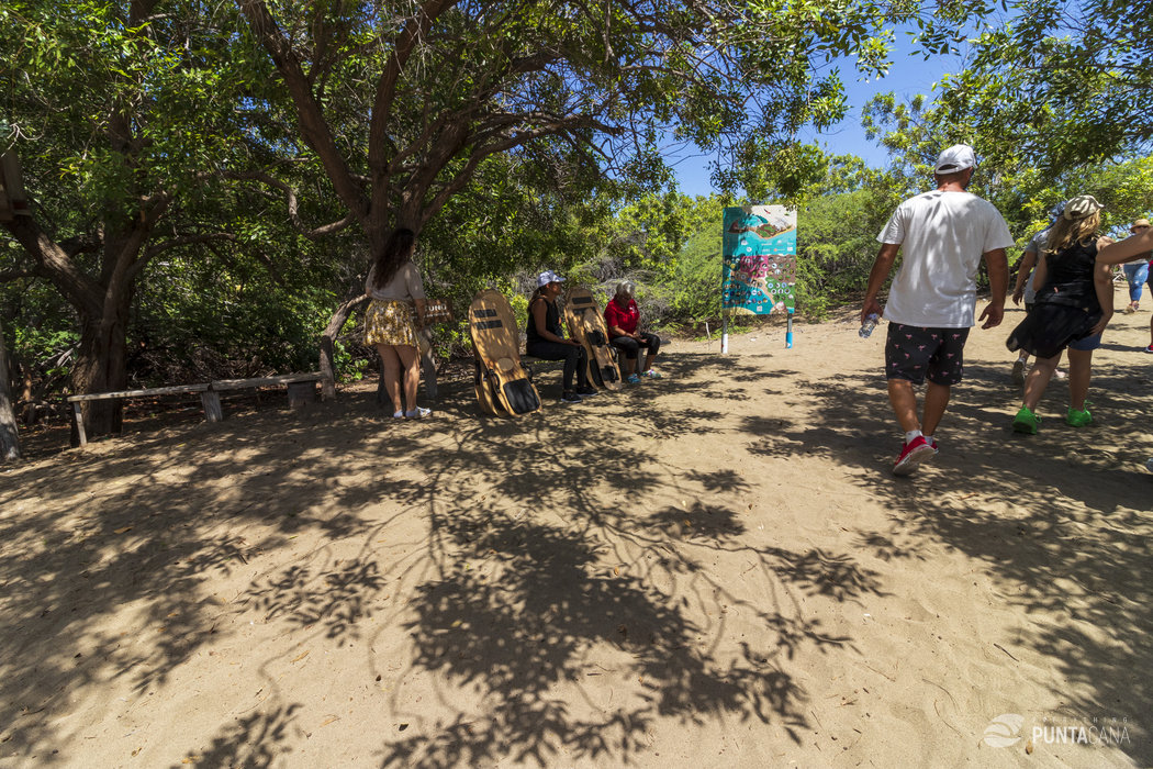 Las Salinas & Dunas de Baní tour - Pink Lakes & Dominican desert