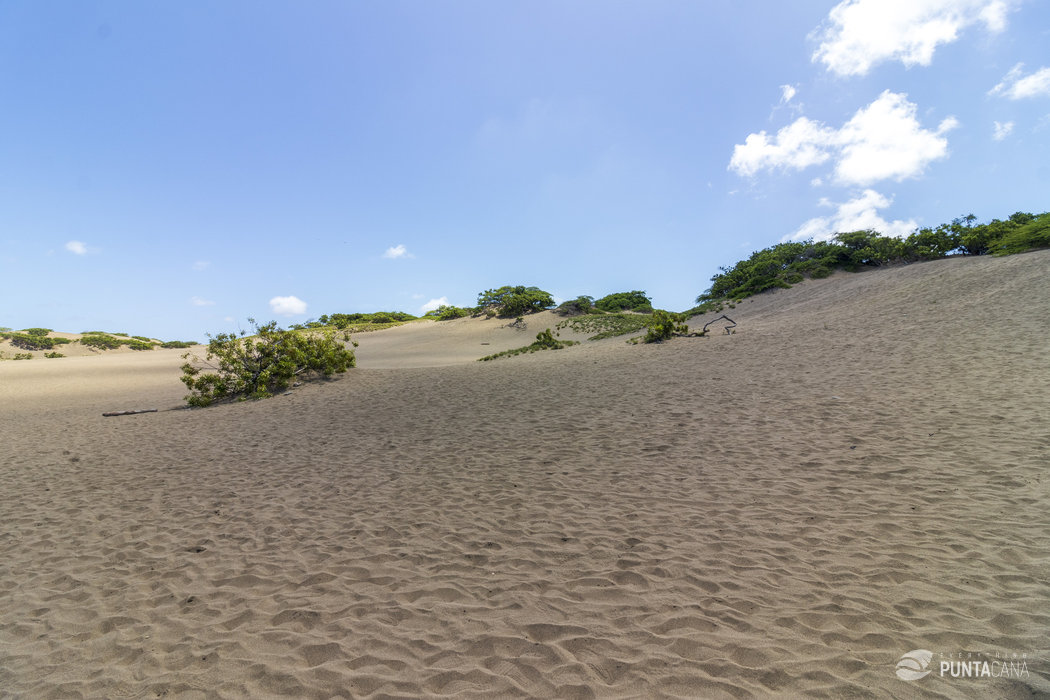 Las Salinas & Dunas de Baní tour - Pink Lakes & Dominican desert