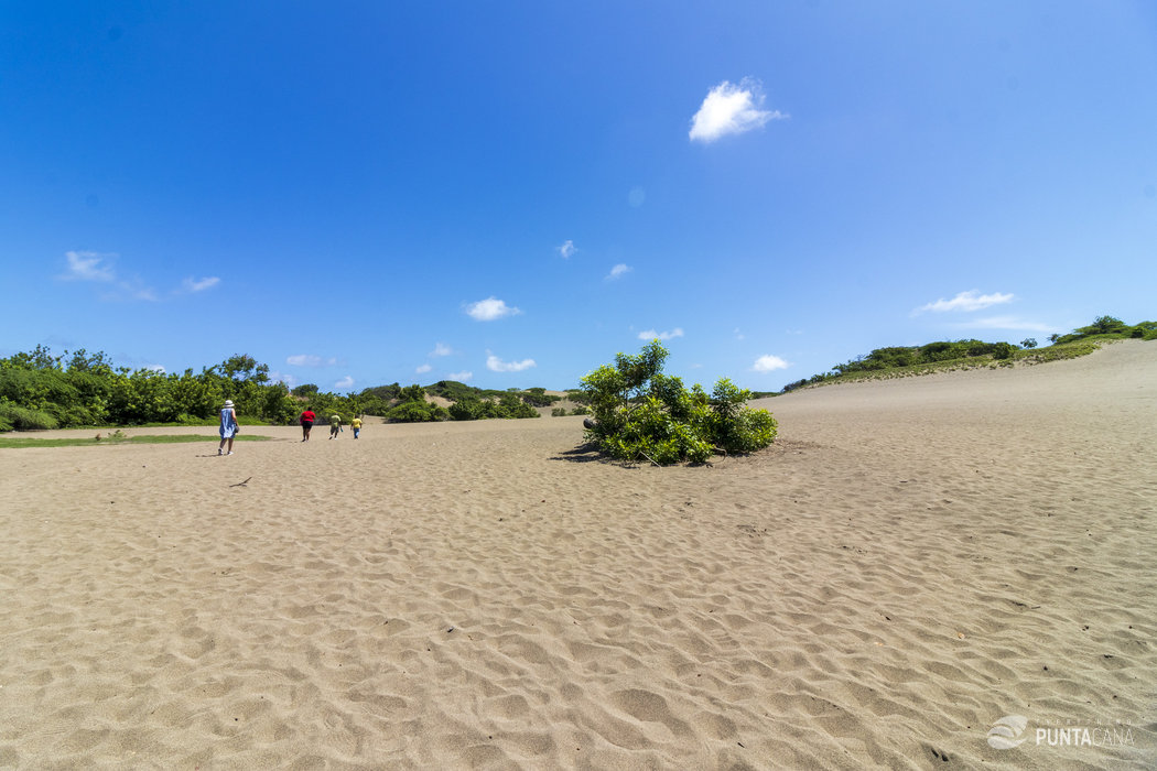 Las Salinas & Dunas de Baní tour - Pink Lakes & Dominican desert