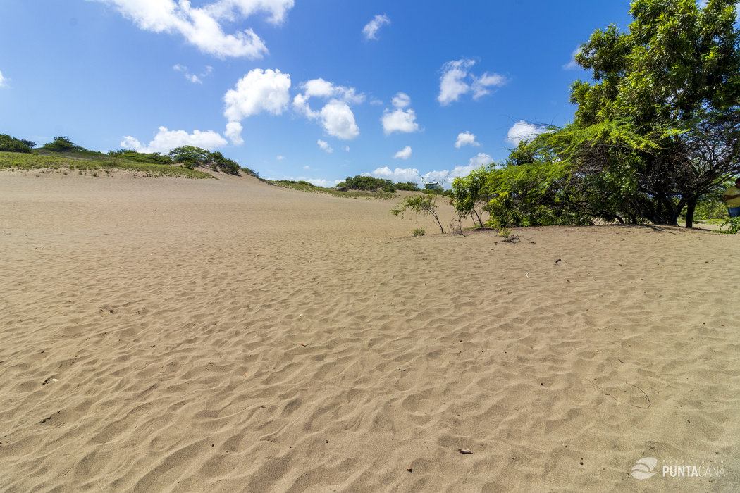 Las Salinas & Dunas de Baní tour - Pink Lakes & Dominican desert