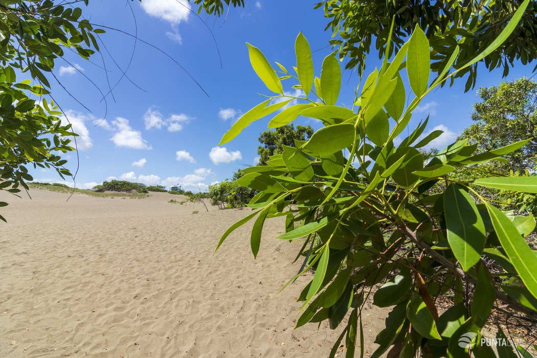 Las Salinas & Dunas de Baní tour - Pink Lakes & Dominican desert