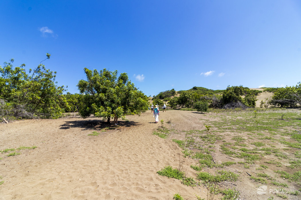 Las Salinas & Dunas de Baní tour - Pink Lakes & Dominican desert