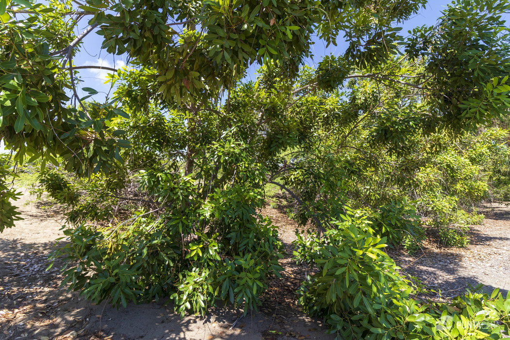Las Salinas & Dunas de Baní tour - Pink Lakes & Dominican desert