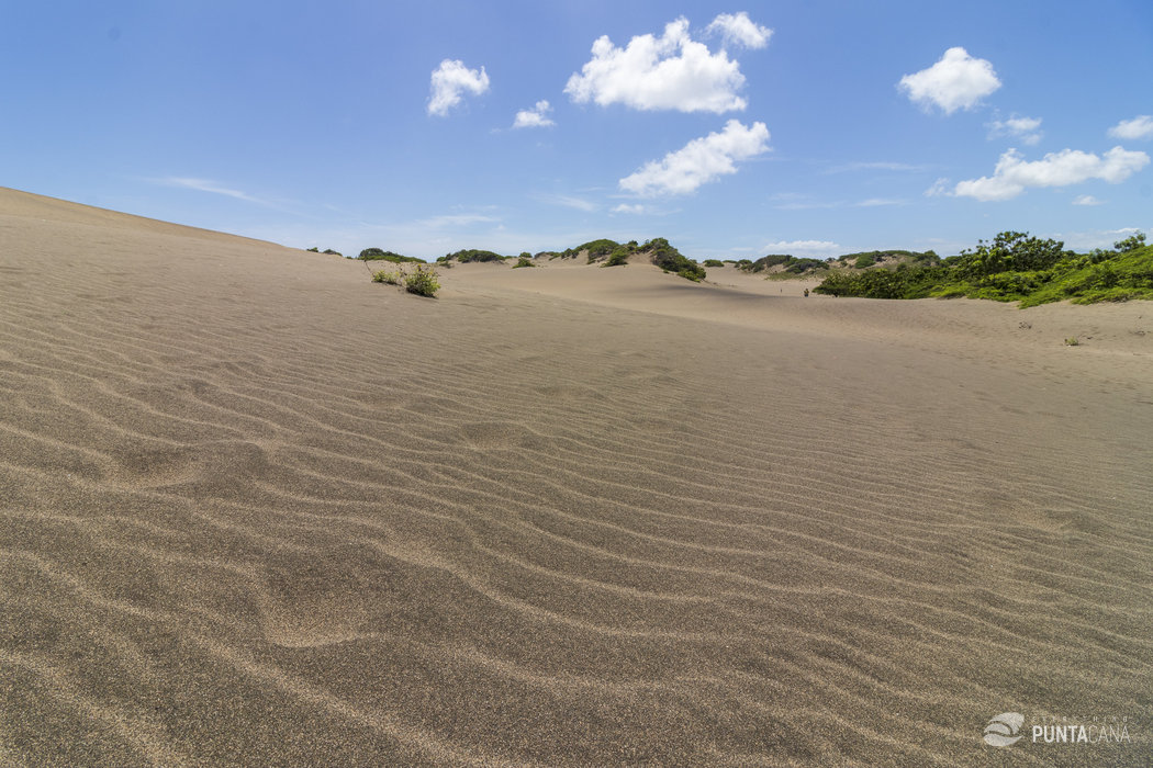 Las Salinas & Dunas de Baní tour - Pink Lakes & Dominican desert