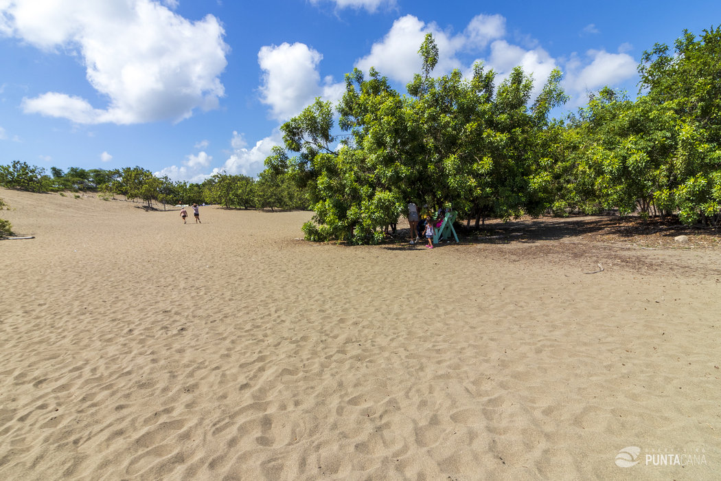 Las Salinas & Dunas de Baní tour - Pink Lakes & Dominican desert