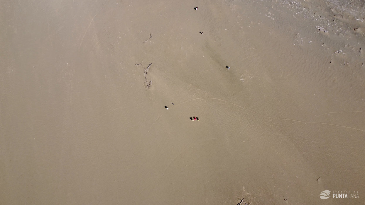 Las Salinas & Dunas de Baní tour - Pink Lakes & Dominican desert