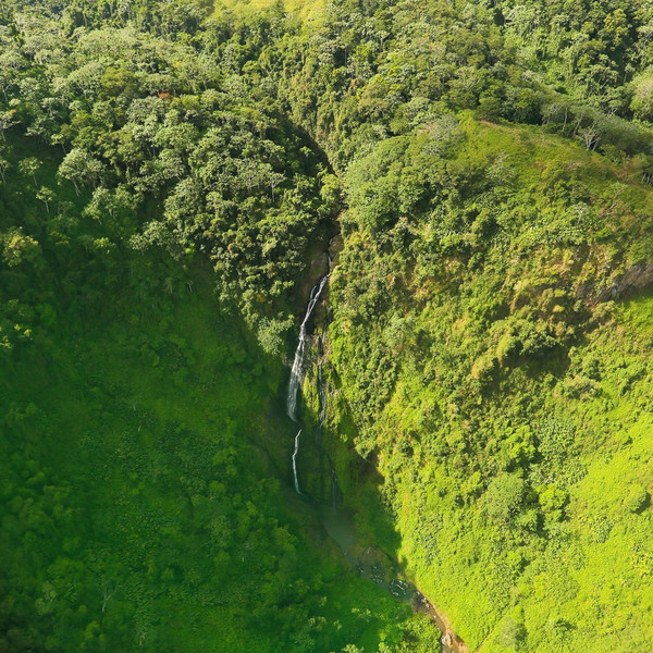 Salto de la Jalda - Incredible Helicopter Tour from Punta Cana, 2026