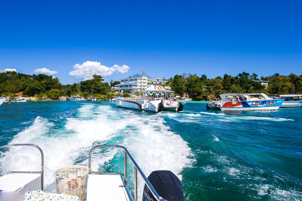 Private Whale Watching Tour from Punta Cana 2026 - Samaná, Cayo ...