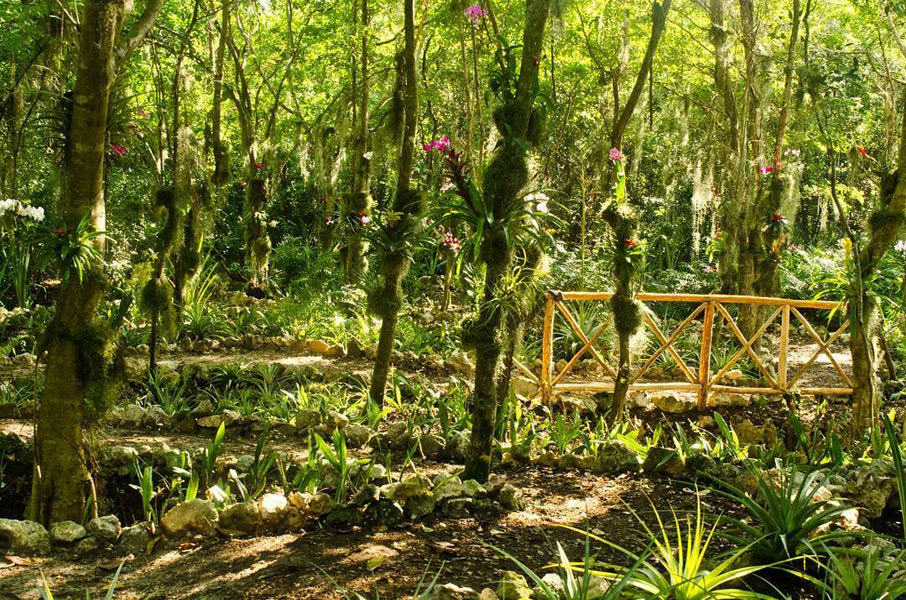 New 2026 Night Adventure Tour at Scape Park, Punta Cana